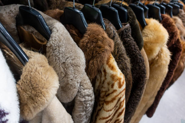 Out-of-state activists push ban on Colorado wildlife fur sales ...